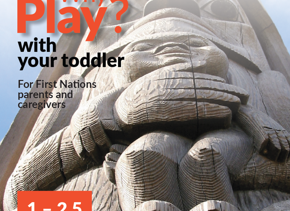 Why Play? with your toddler 1-2.5 years For First Nations parents and ...