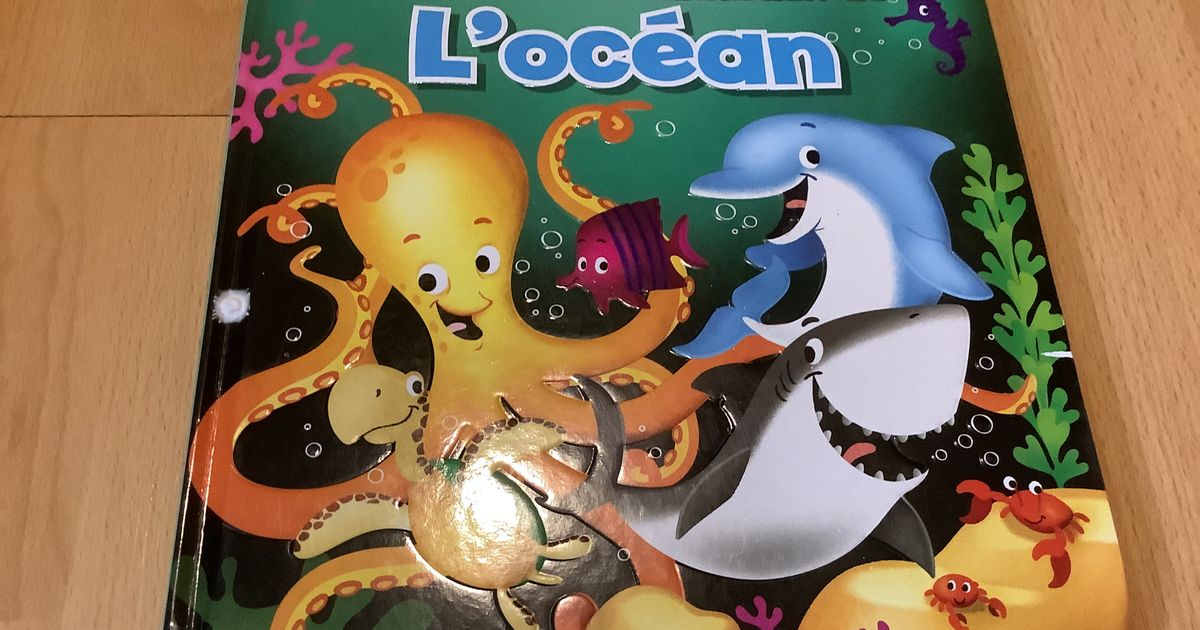 📕cartonné Zoom sur les animaux de l’océan