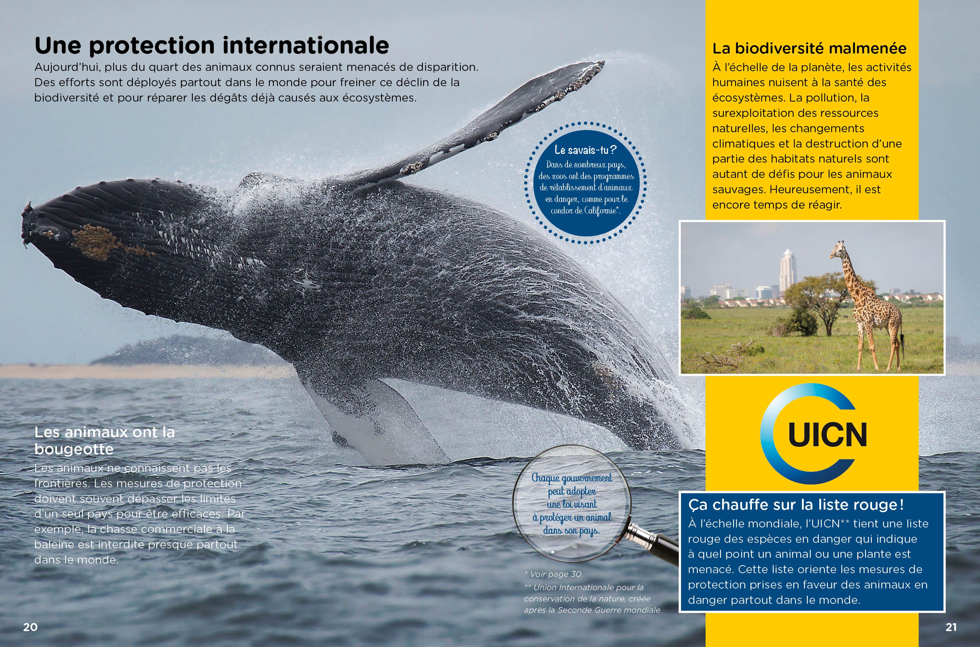 Animaux En Danger Le Livre Extraordinaire Des Animaux En Danger