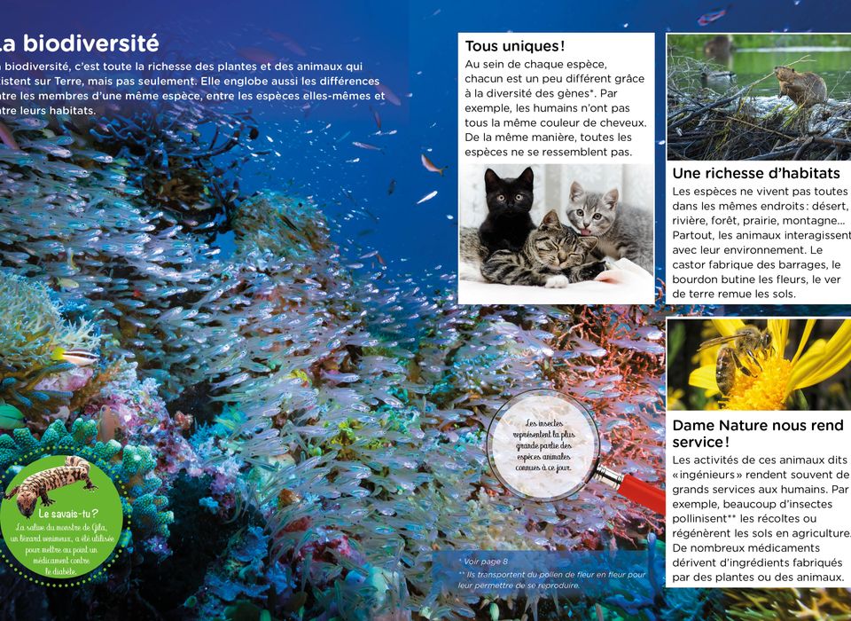 Animaux En Danger Le Livre Extraordinaire Des Animaux En Danger