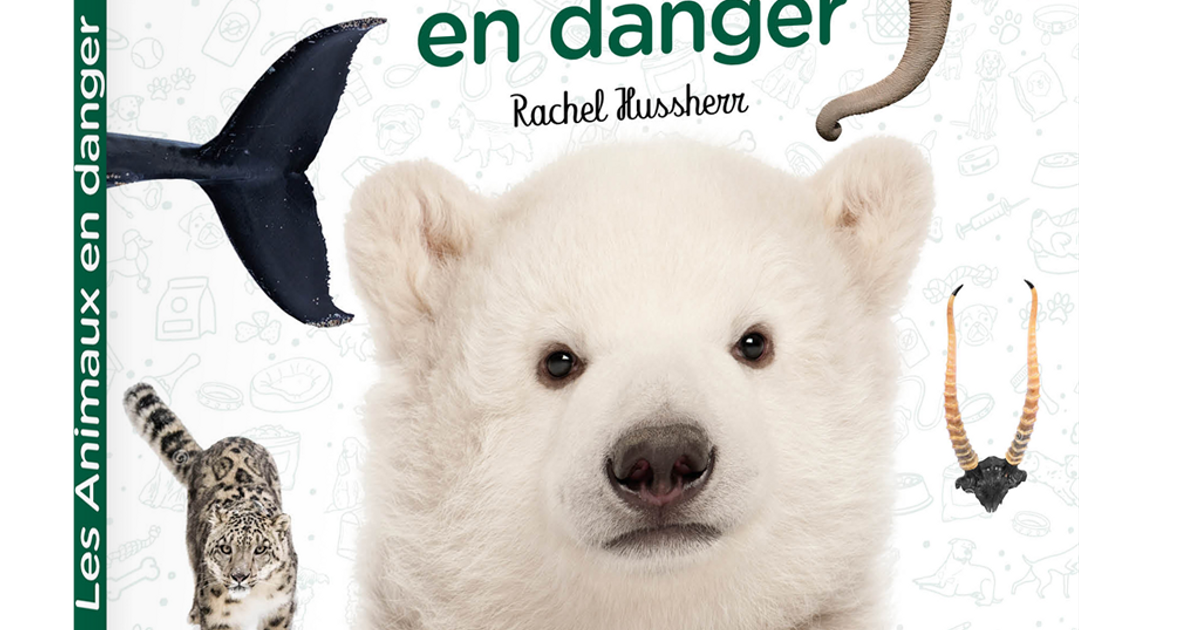 Animaux en danger |Documentaire | Méga Éditions