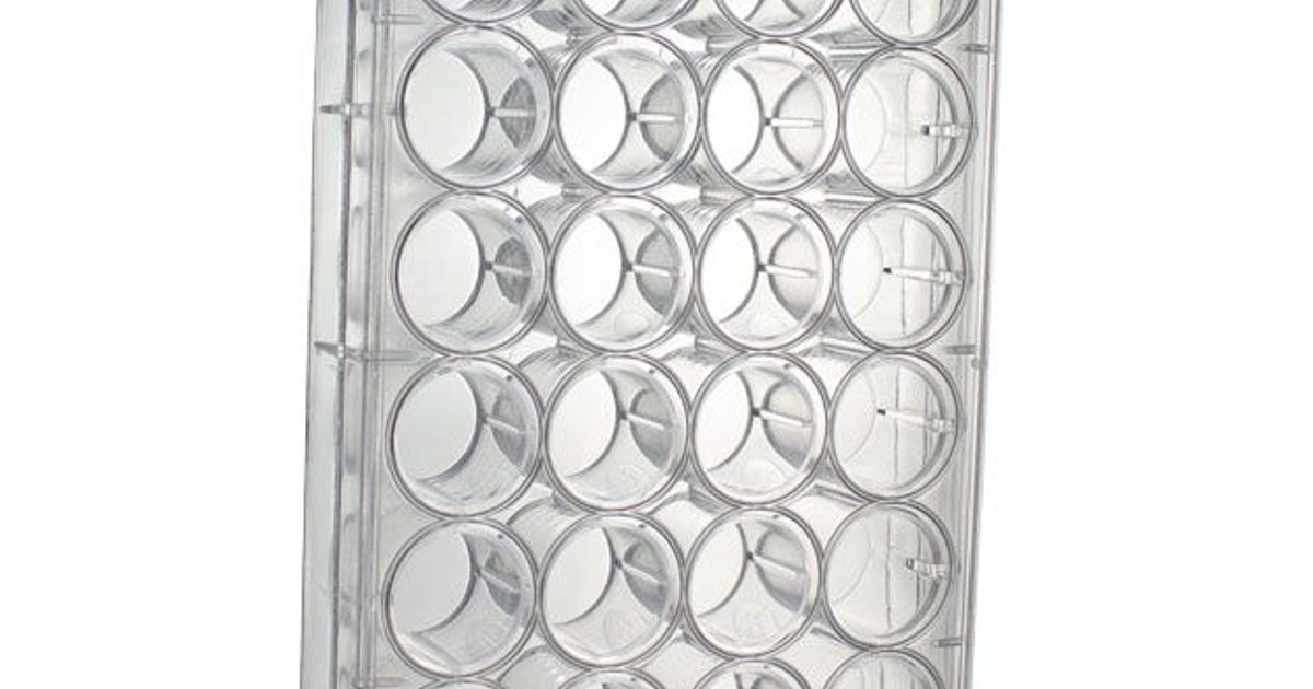 Well Plates, Clear Plastic