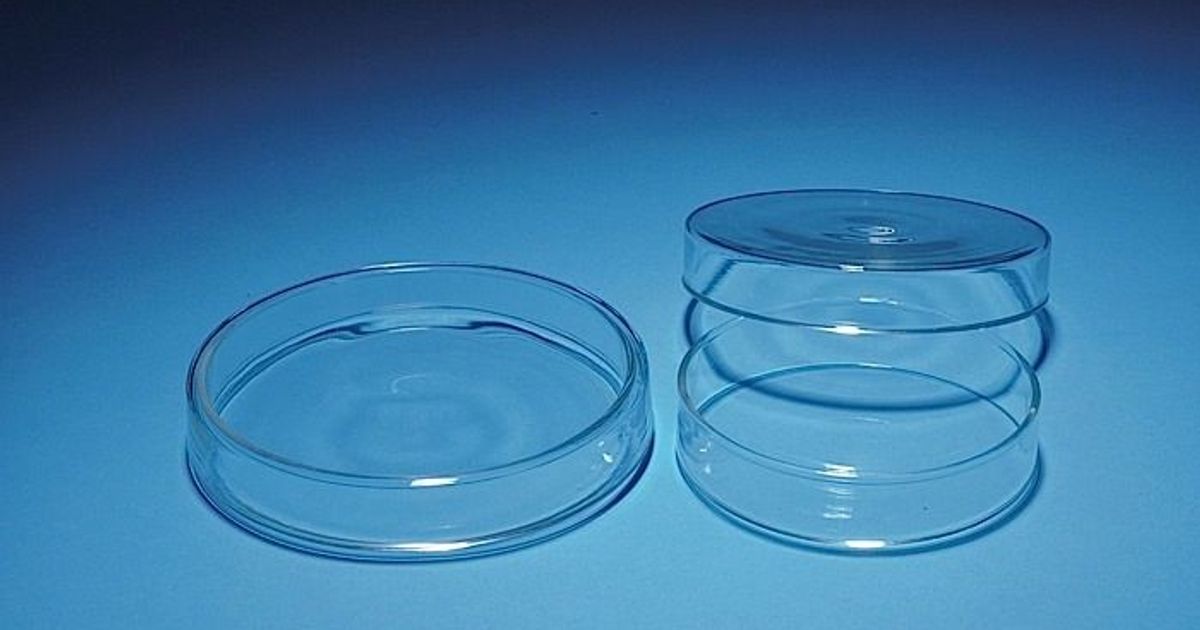 Petri Dishes, Borosilicate Glass