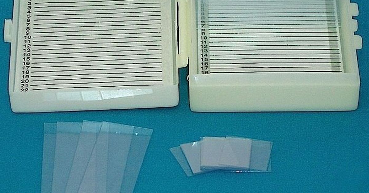 Microscope Slide Making Set