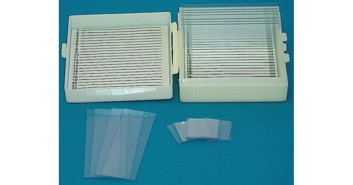 Microscope Slide Making Set