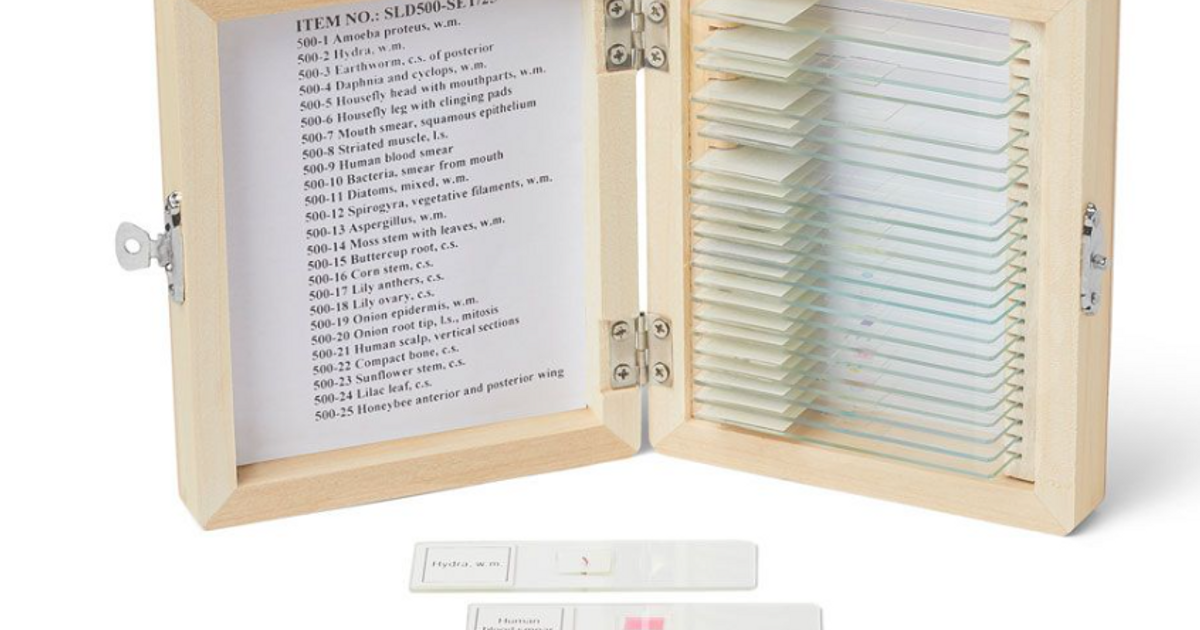 Basic Prepared Slide Set of 25