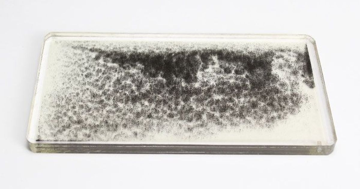 Magnetic Field Demonstrator