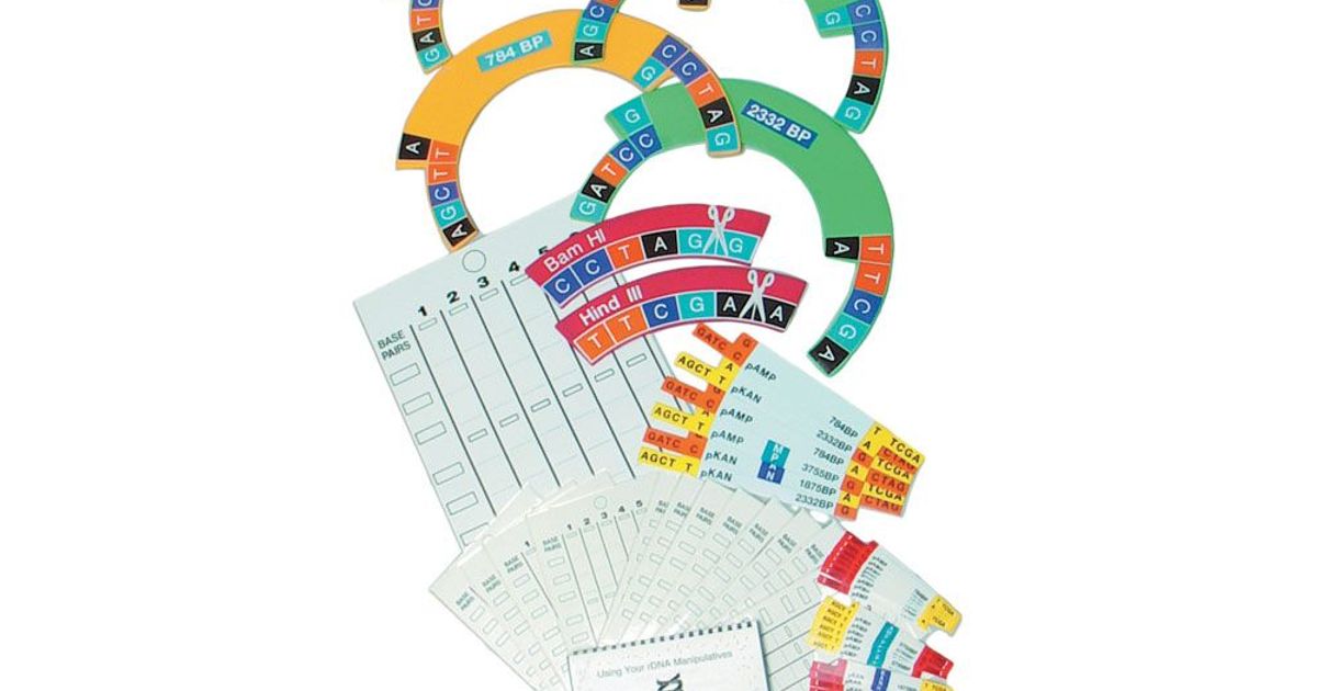 Kit Ultime de Manipulatives ADN – Apprenez la Technologie de l'ADN ...