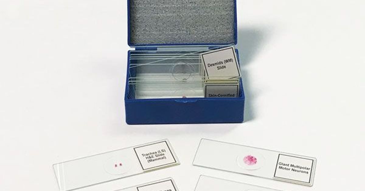 Biology Prepared Slide Set of 14