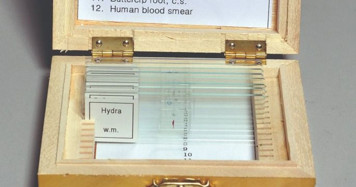 Biology Prepared Slide Set of 12