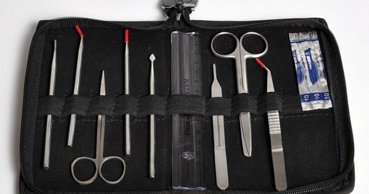 Dissecting Instruments, Instructor's Set of 10