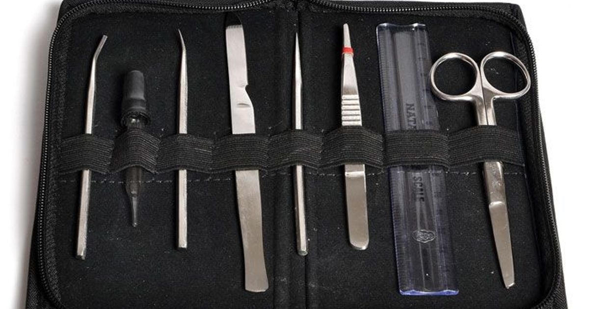 Dissecting Instruments, Economy Set of 8