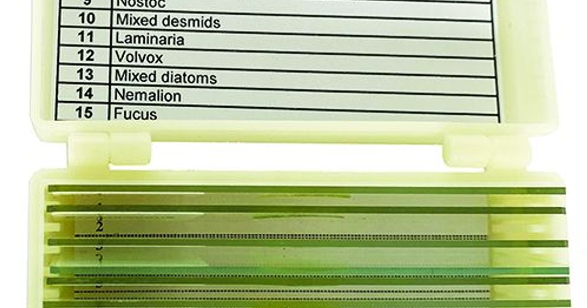 Algae Survey Slide Set of 15
