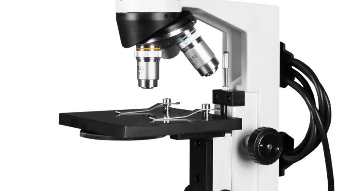 BMT Series Microscopes