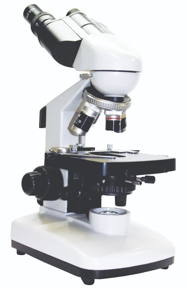 40 Series Microscopes