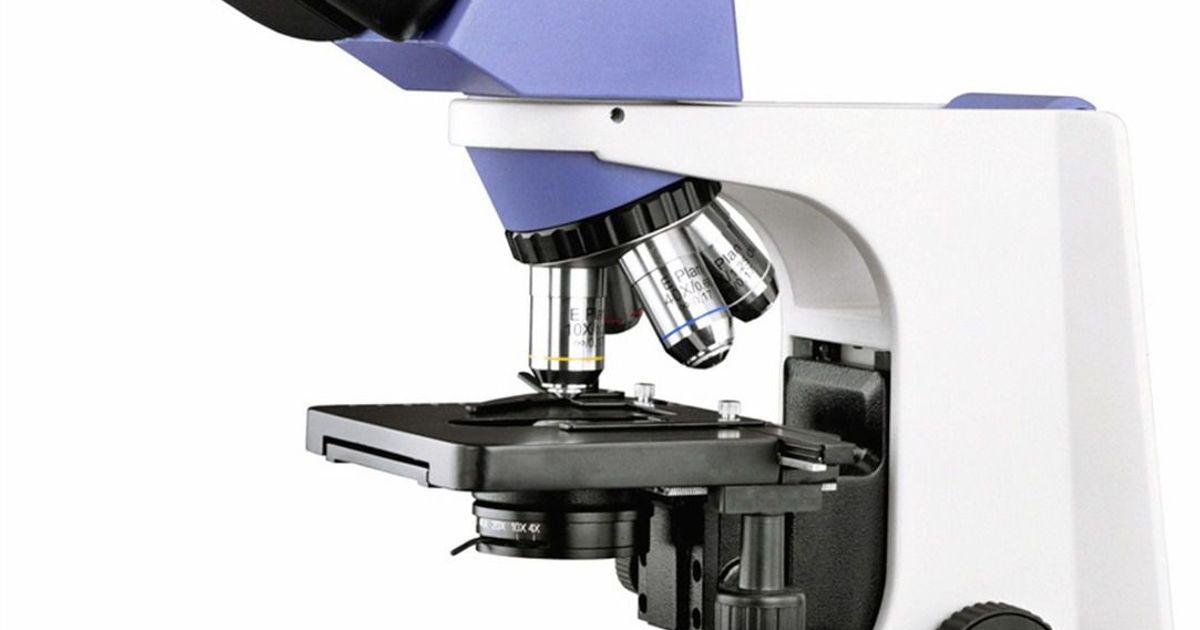 1008D5 Infinity Digital Microscope