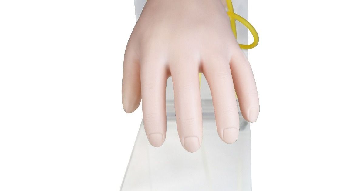Advanced I.V. Injection Hand Model