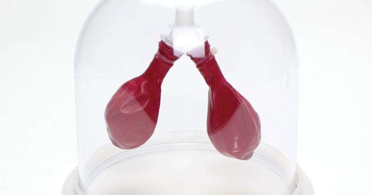 Lung System - Assessment and Monitoring of Respiratory Function