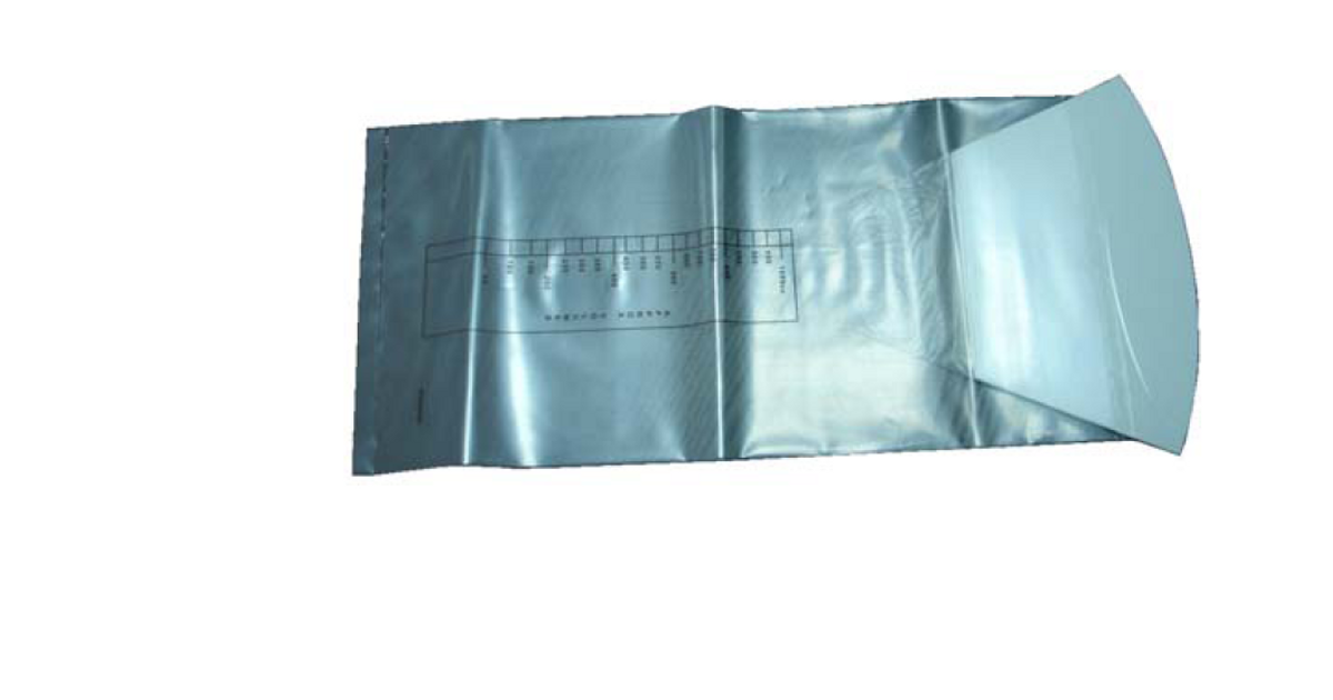 EMESIS BAG