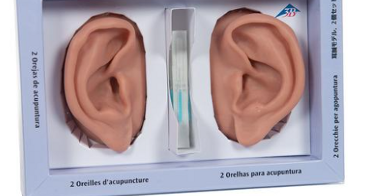 3B Ear set, one left and right ear