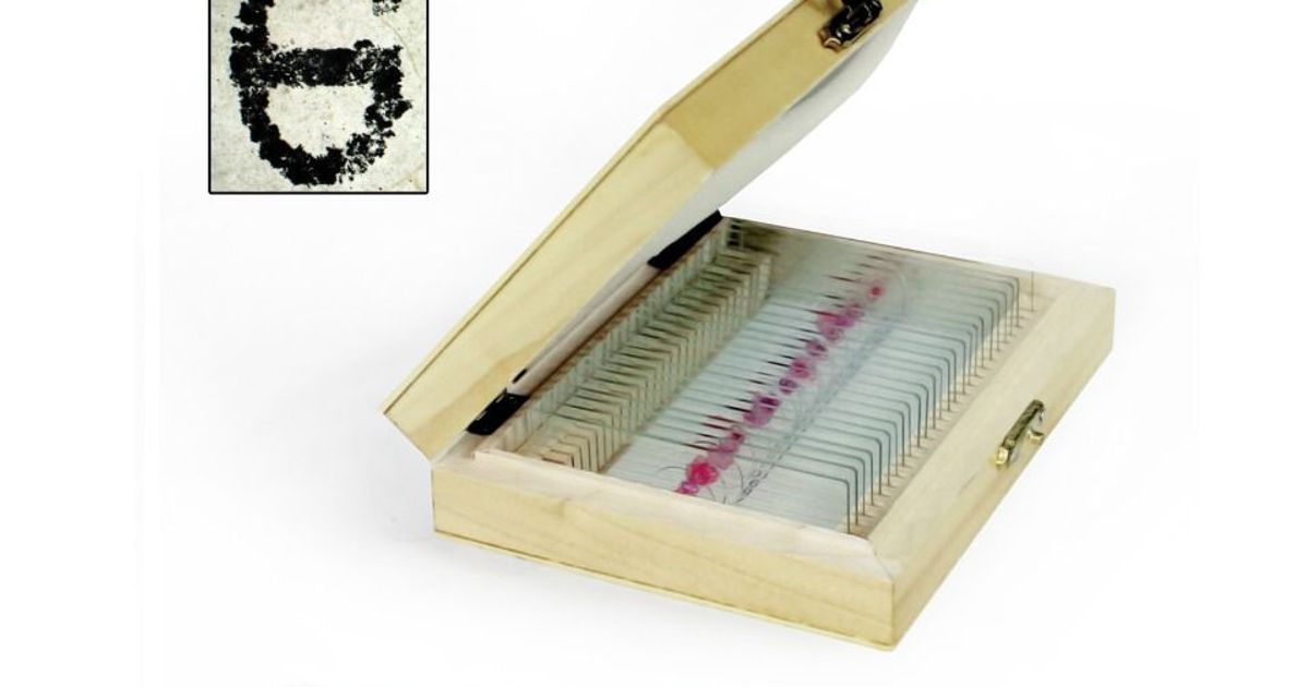 General Study Prepared Slides