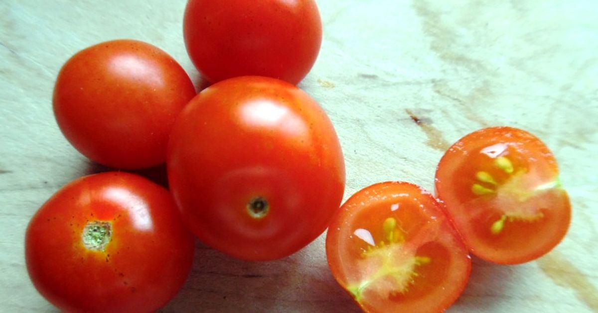 Graines de tomate micro-naine Little Red Riding Hood