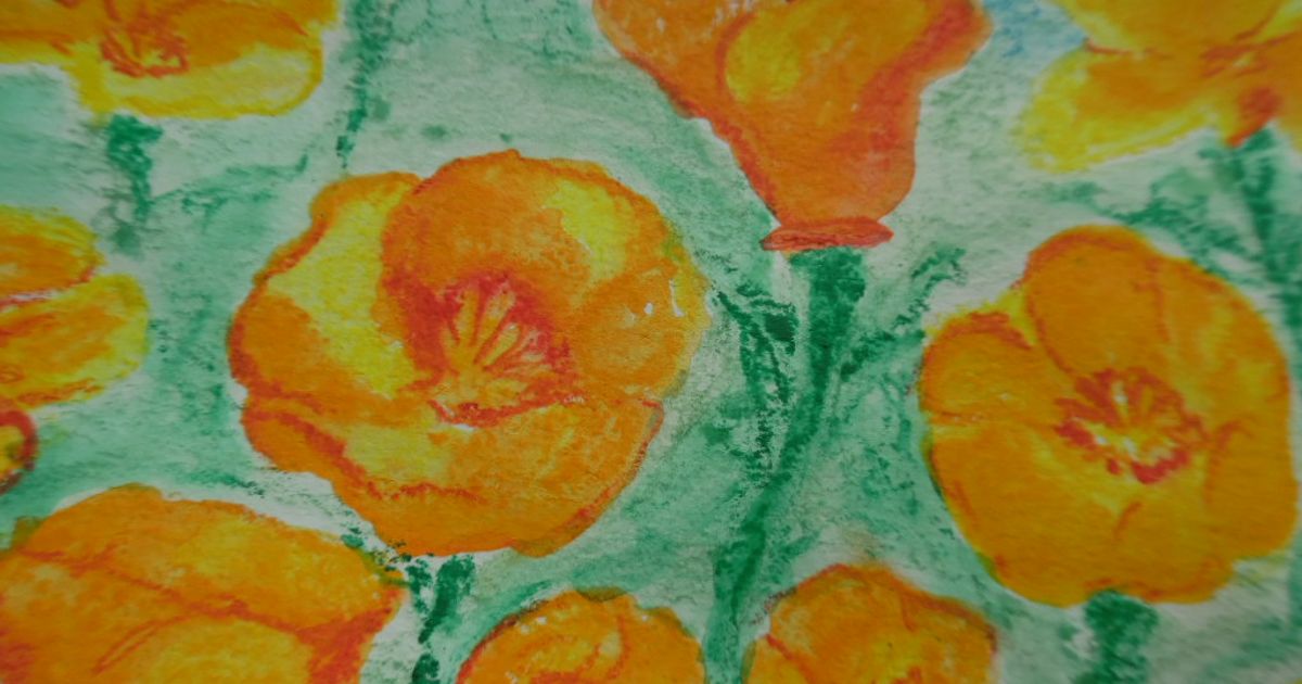 California Poppy Golden West seeds