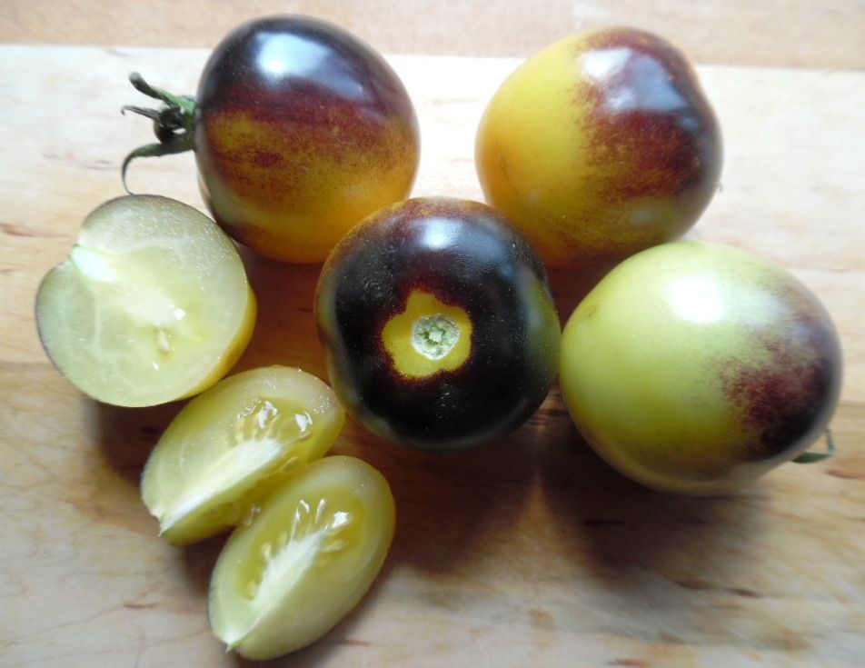 Bosque Blue Bumblebee Tomato seeds