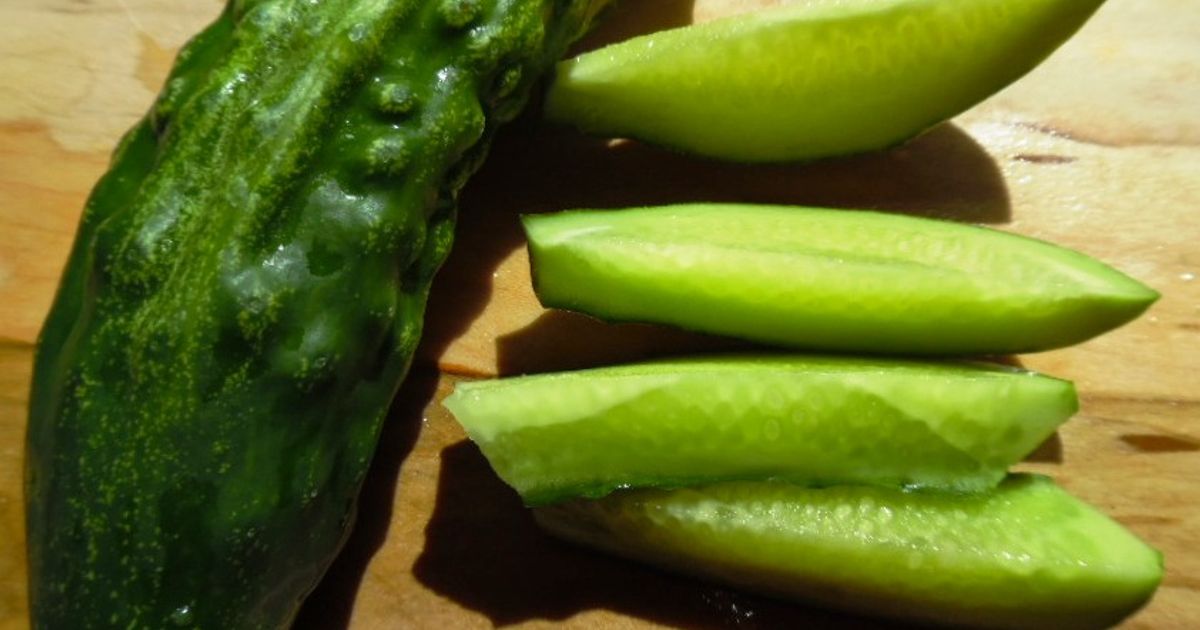 Cucumber seeds for growing in pots' Spacemaster