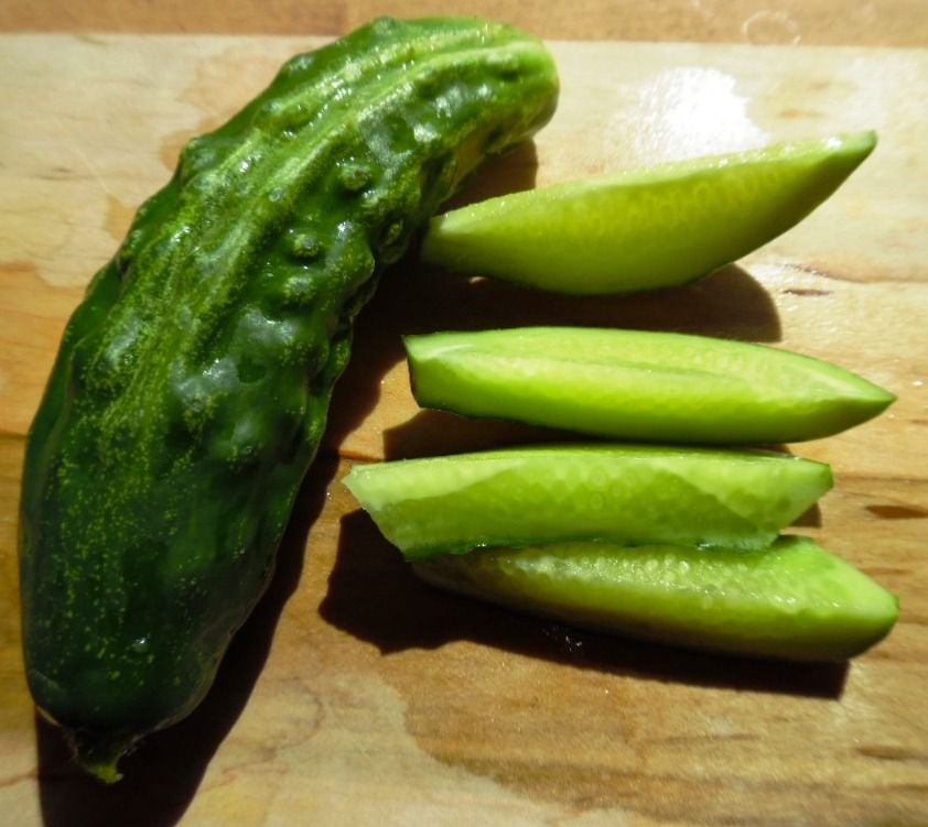 Spacemaster Cucumber seeds