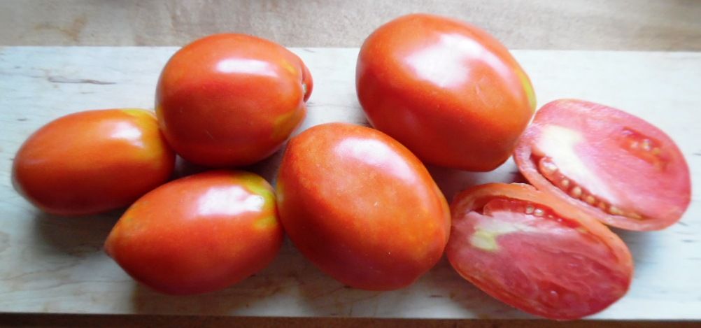 Russian Big Roma Tomato seeds