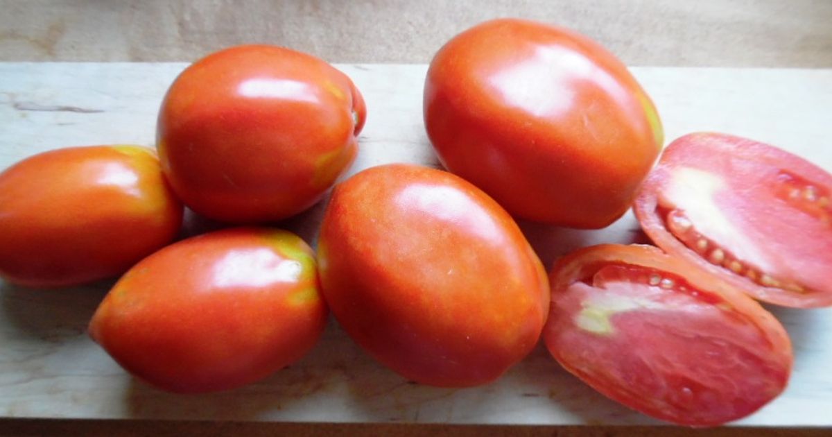 Russian Big Roma Tomato seeds