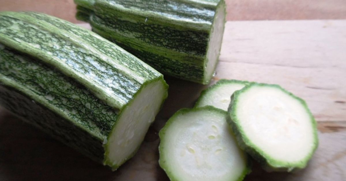 Graines de Zucchini Costata Romanesco