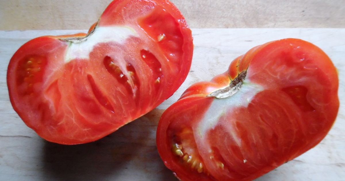 Andrew Rahart Jumbo Red Tomato seeds