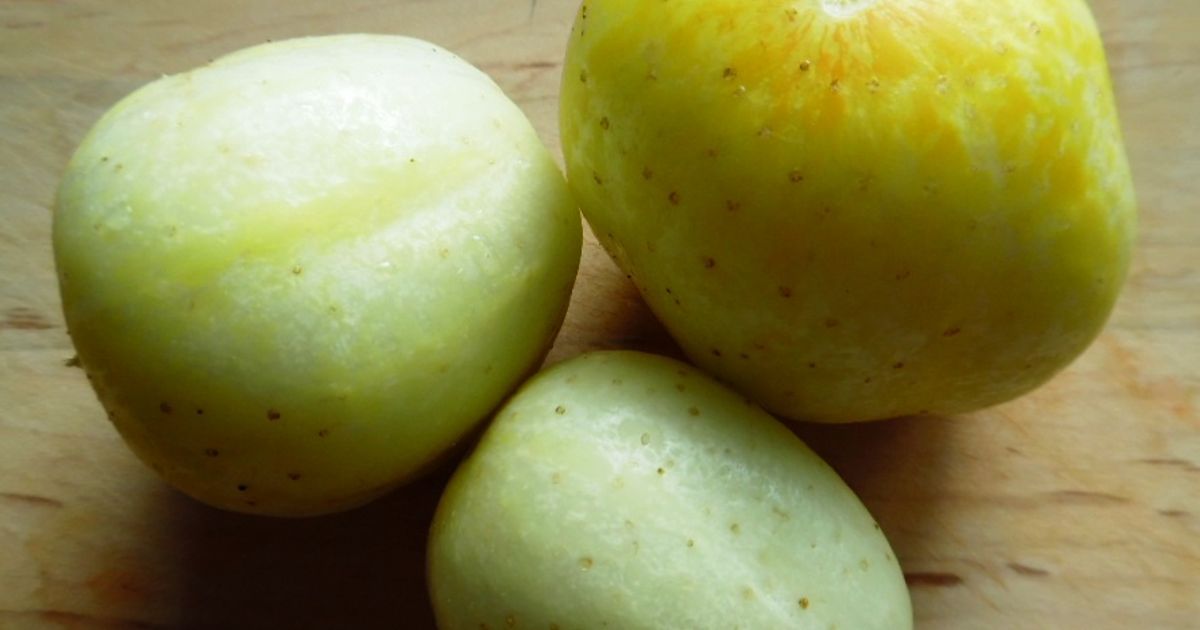 Graines de concombre Lemon
