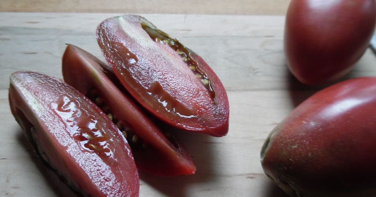 Ukrainian Purple or Purple Russian Tomato seeds