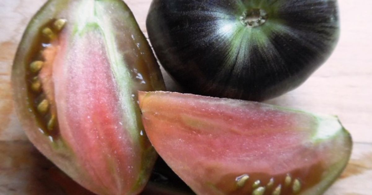 Rebel Starfighter Prime Tomato seeds