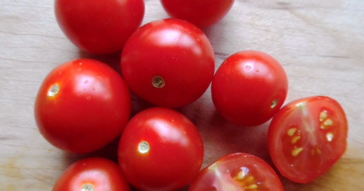 Birdie Rouge Micro Dwarf Tomato