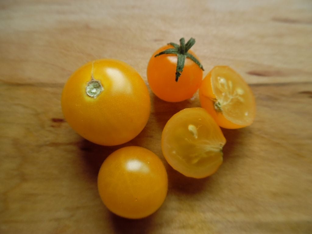 Jochalos Micro Dwarf Tomato