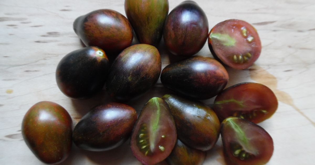 Black Keyes Tomato