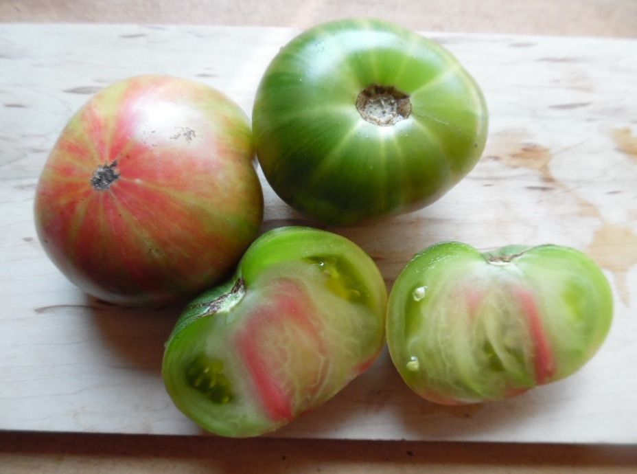 Dwarf Peppermint Stripes Tomato