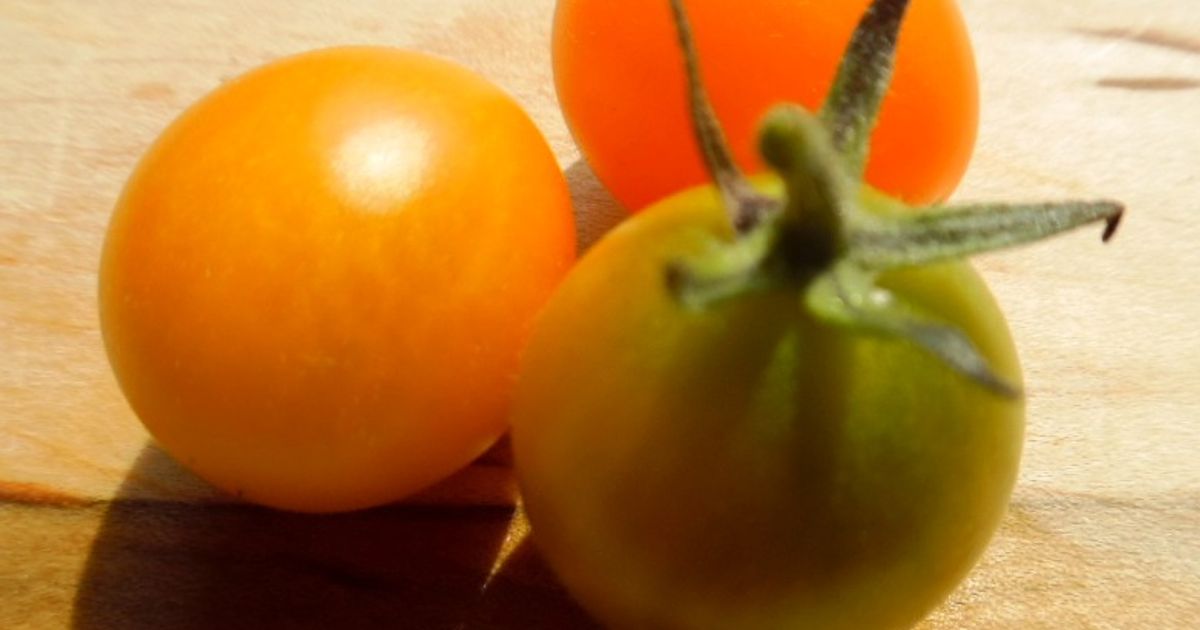 Raisin Orange Tomato