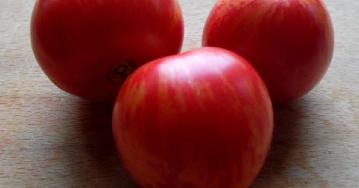 Raspberry Beret Dwarf Tomato