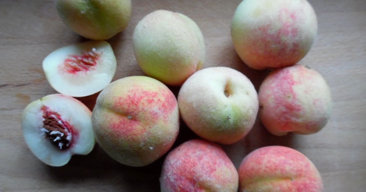 5 Blood Peach Kernels from Indian Free White