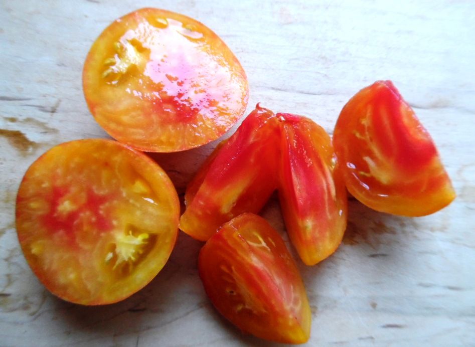 Dwarf Confetti Tomato Seeds dwarf-confetti-tomato-seeds