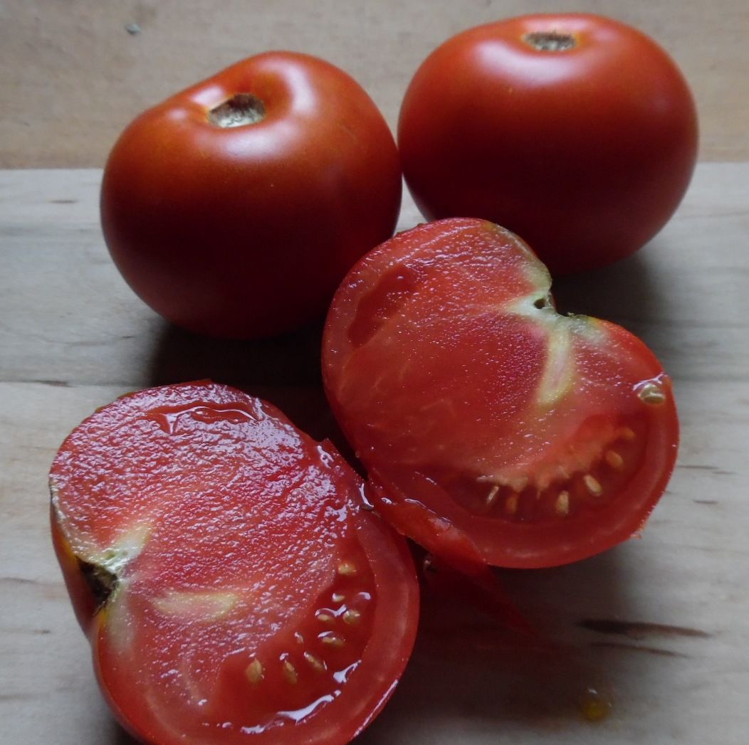 Mountain Princess Tomato seeds