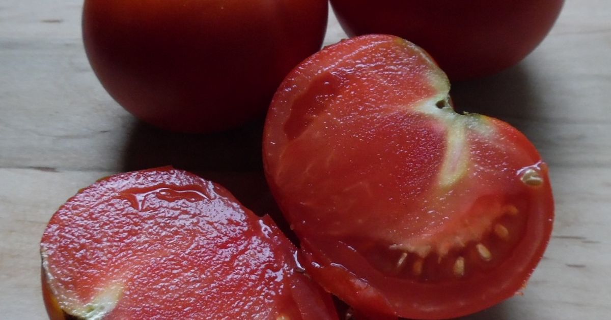 Mountain Princess Tomato seeds