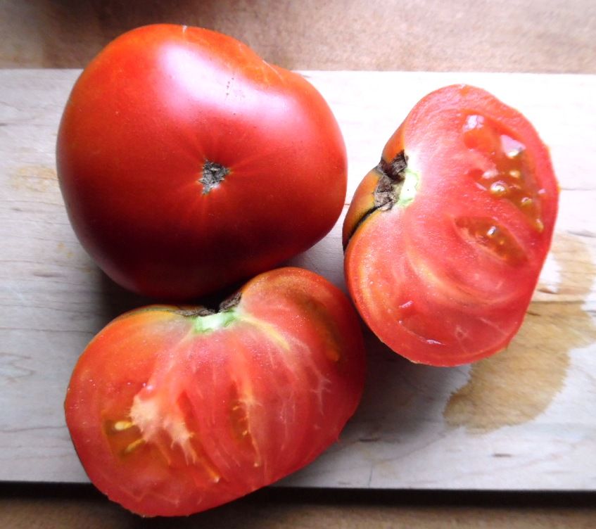 Sweet Scarlet Dwarf Tomato seeds