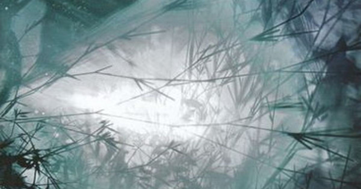 La wicca guide de pratique individuel - Scott CUNNINGHAM