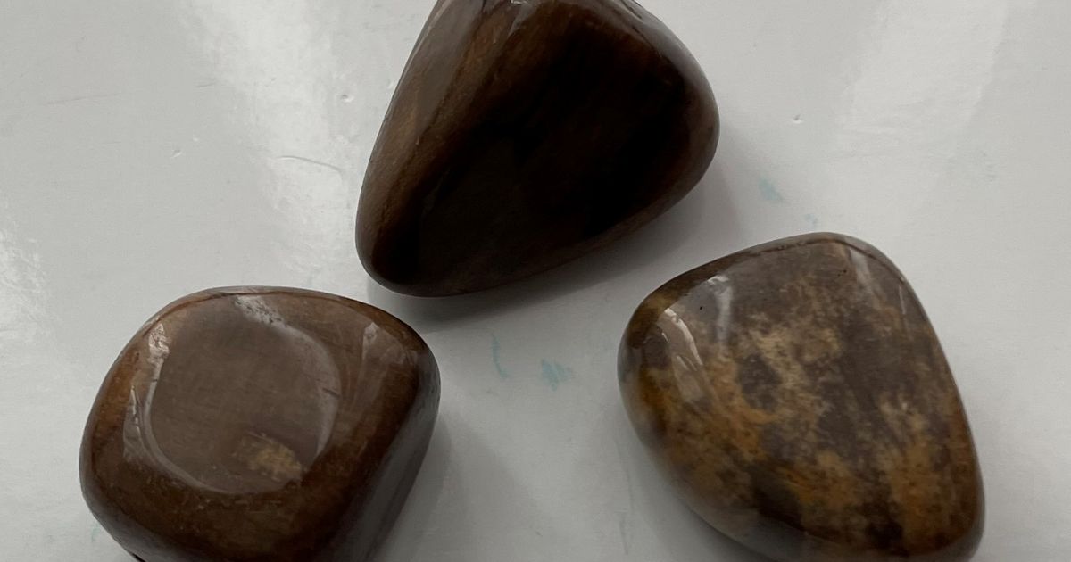 Pierre Bois silicifié (Madagascar)